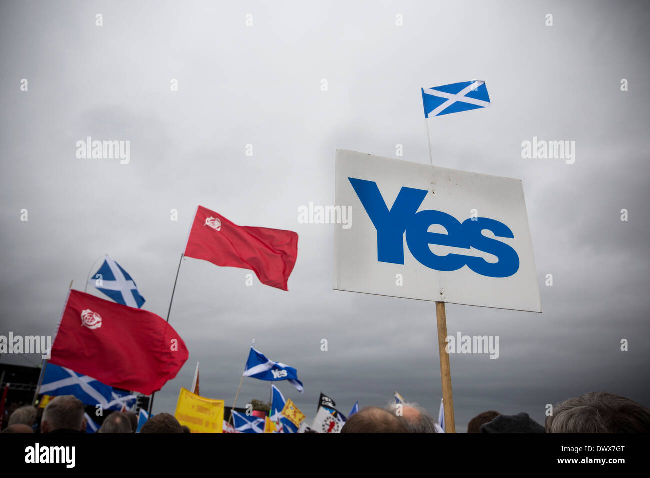 Scottish saltire flag yes sign hi-res stock photography and images - Alamy