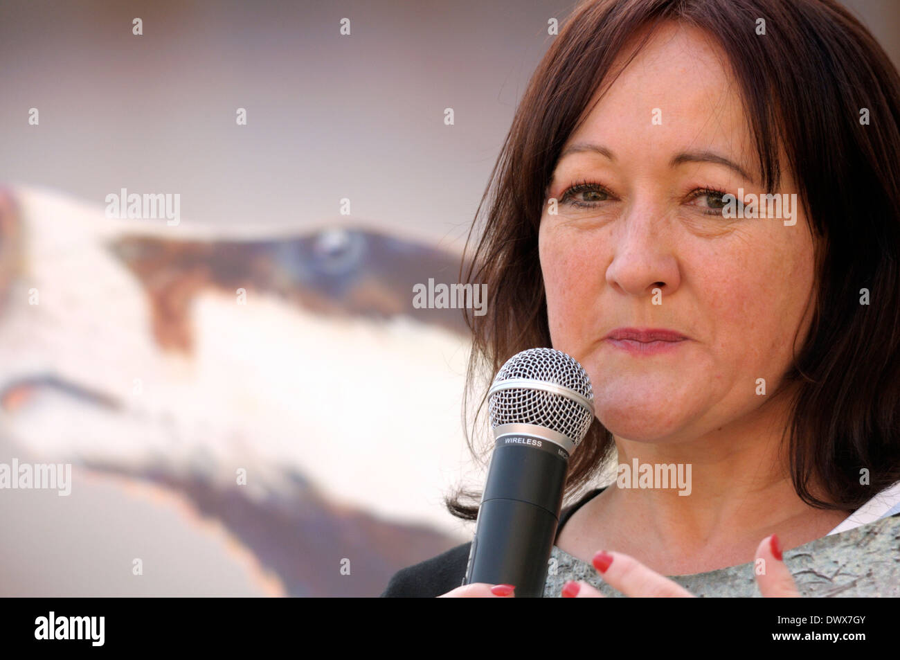 Kerry Mccarthy Stock Photos & Kerry Mccarthy Stock Images - Alamy