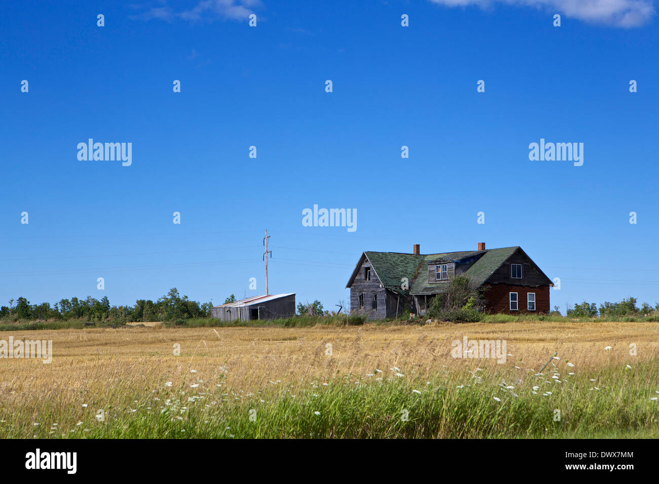 Abandoned homestead farm in northern Michigan Stock Photo - Alamy