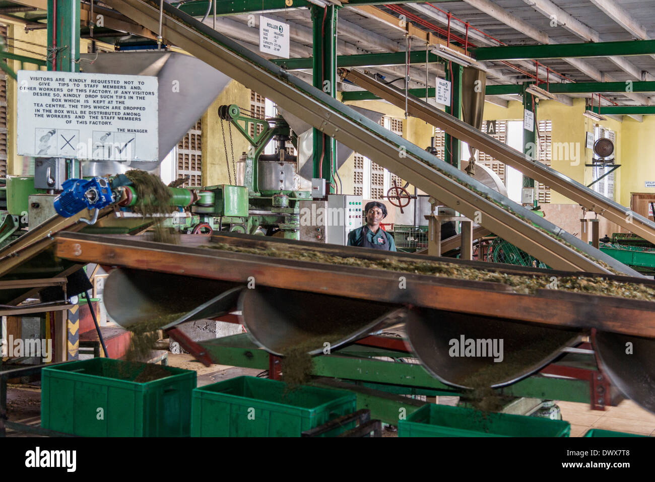 Ceylon tea factory Muwara Eliya Sri Lanka Stock Photo - Alamy