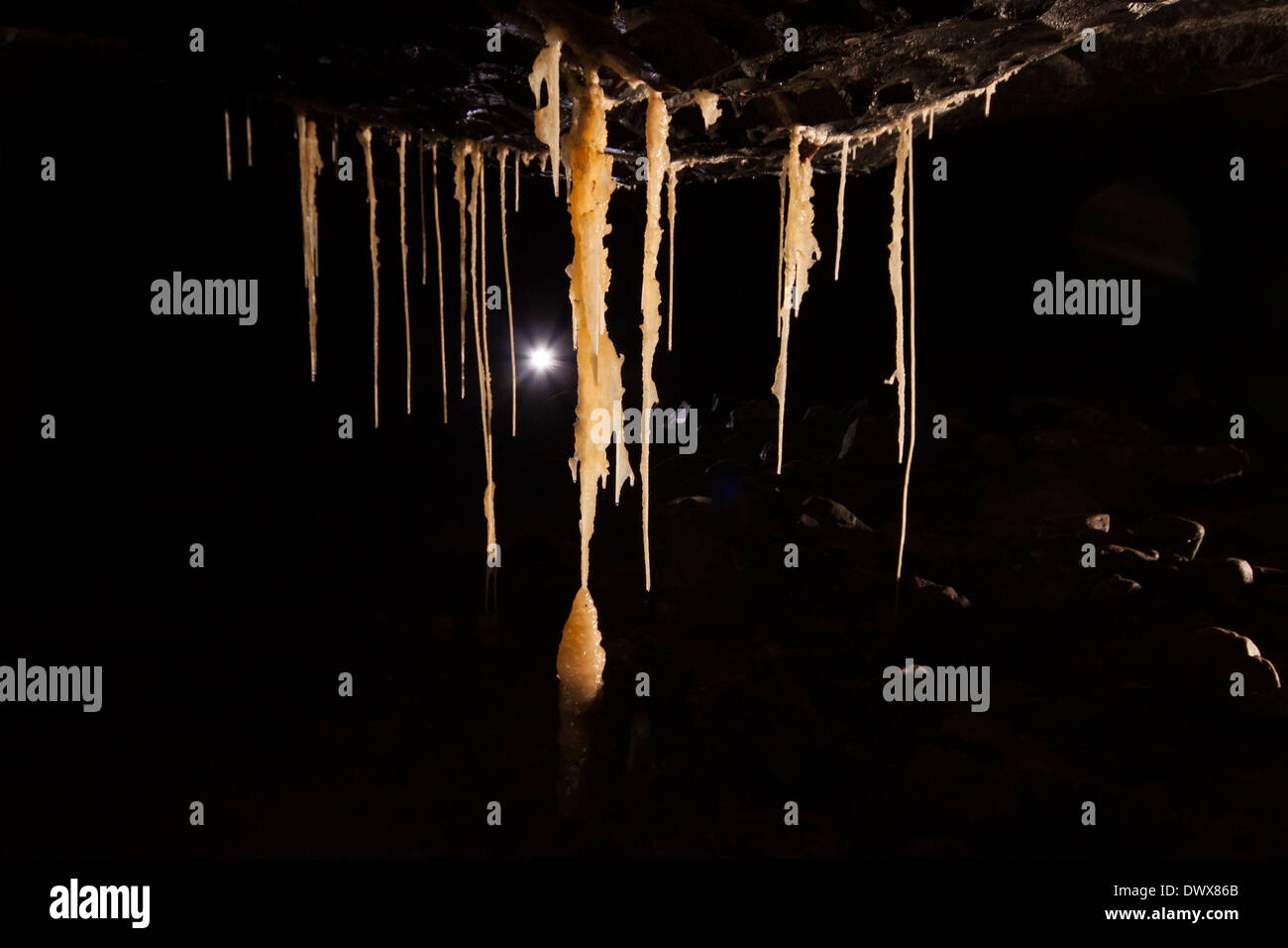 The Candlewax Columns in Dan-yr-Ogof Caves, Brecon Beacons, south Wales ...