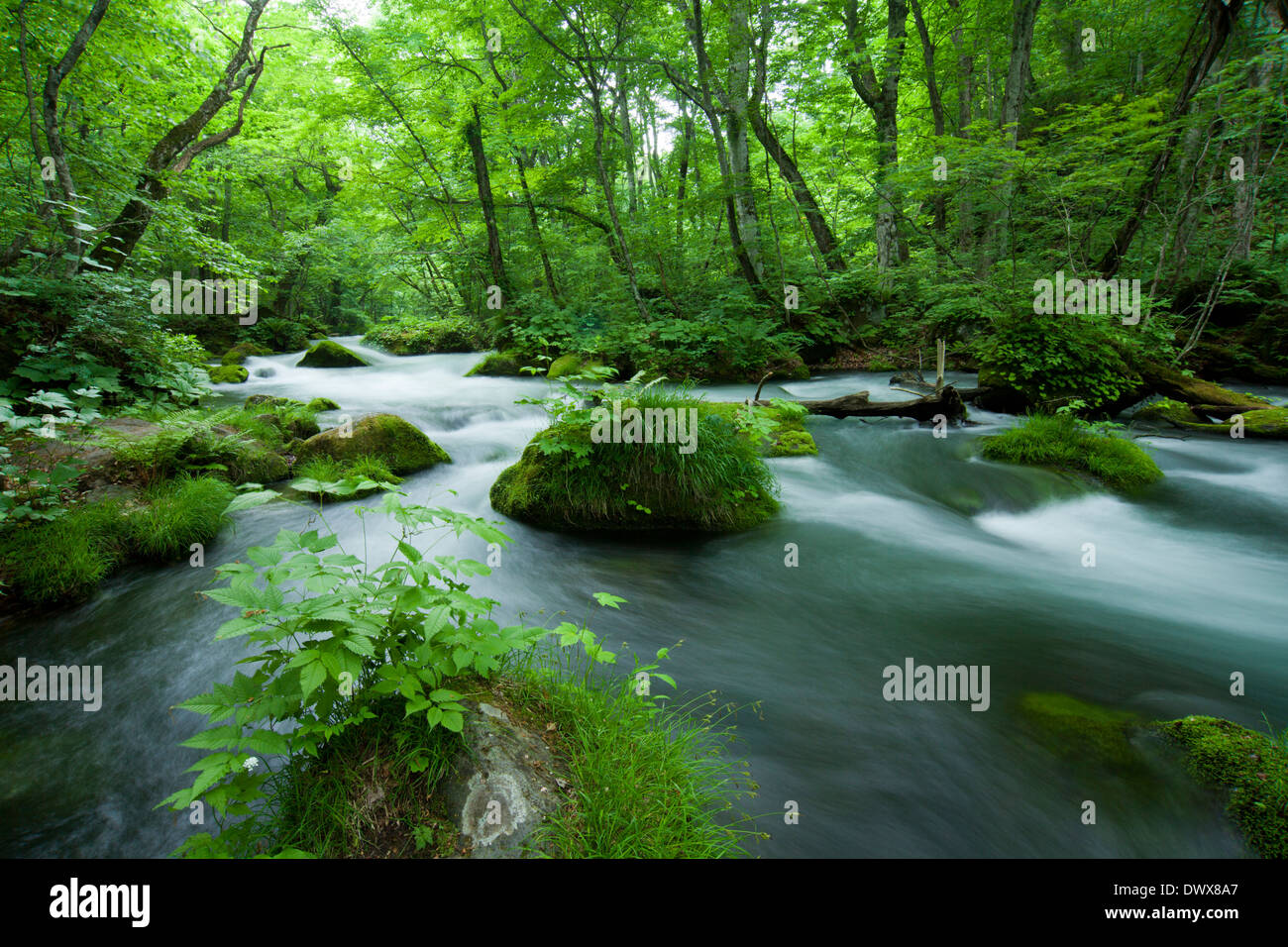 Aomori Desktop Wallpaper