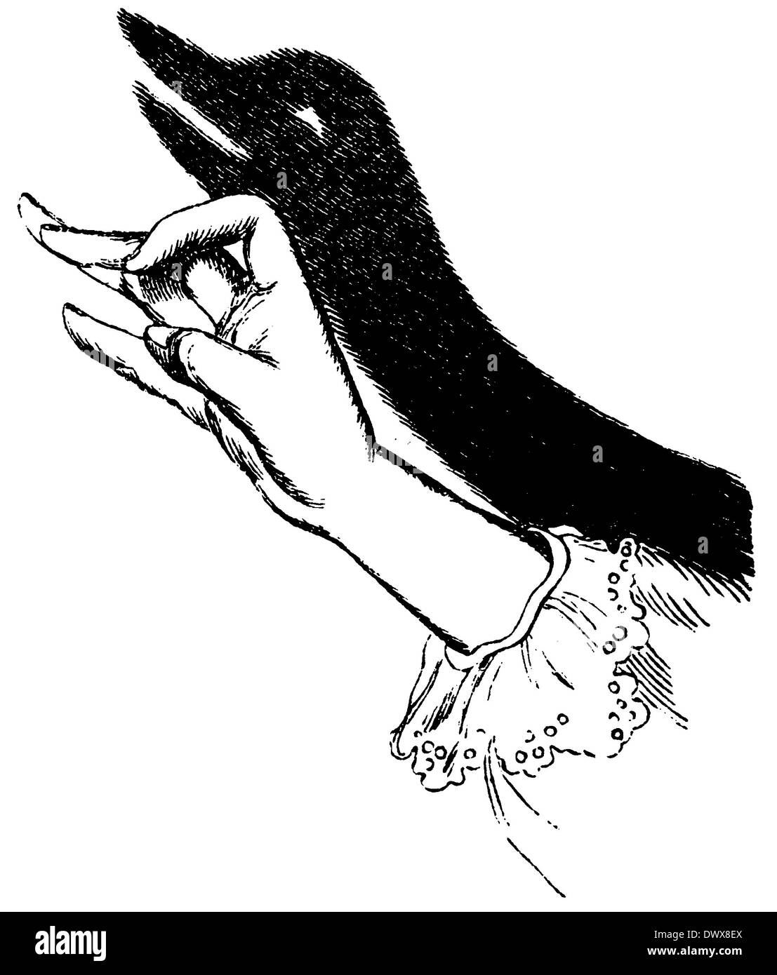 Shadow Play: Goose Stock Photo - Alamy