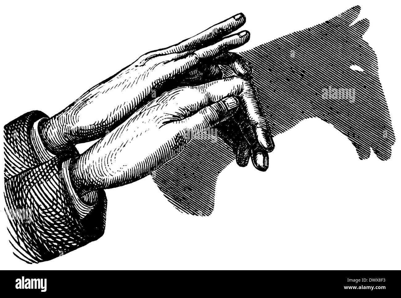 Shadow Play: Dog Stock Photo - Alamy