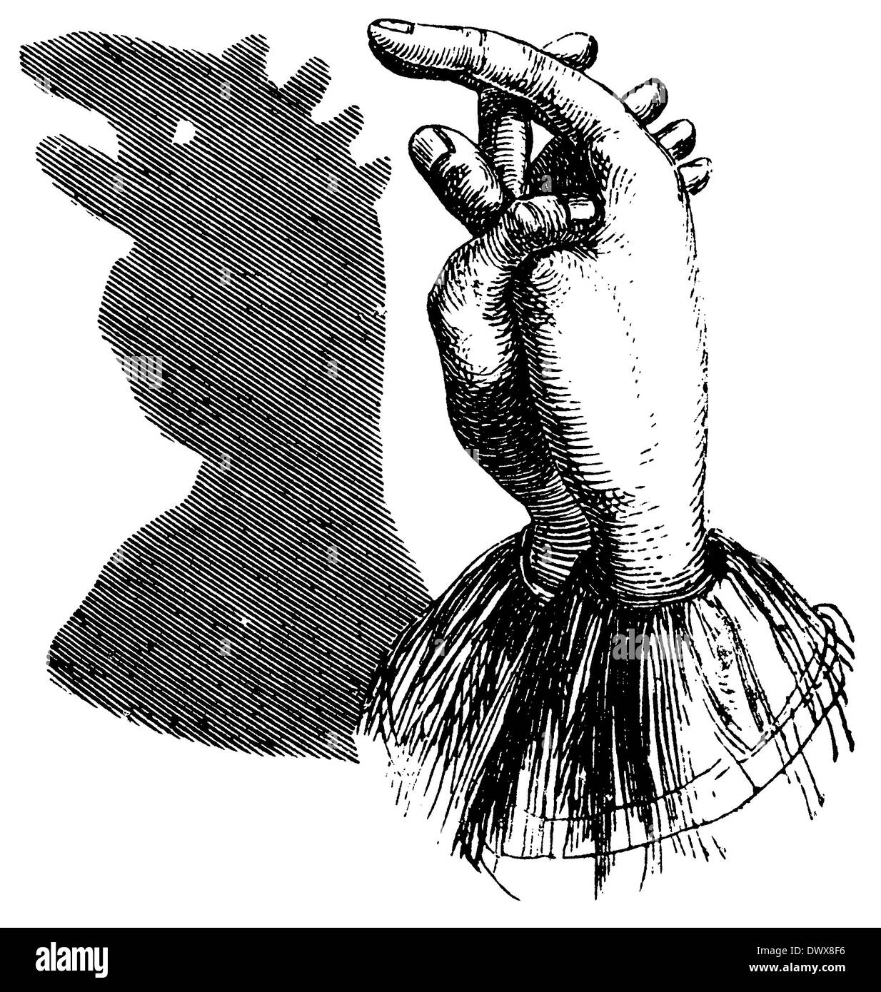 Rooster hand Black and White Stock Photos & Images - Alamy