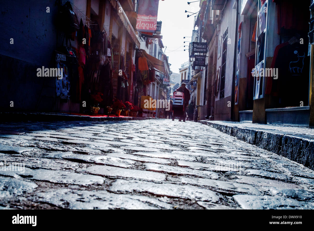 Low Viewpoint Photography