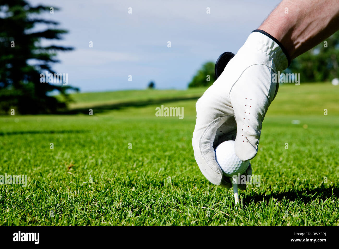 Golf driving tee hi-res stock photography and images - Alamy