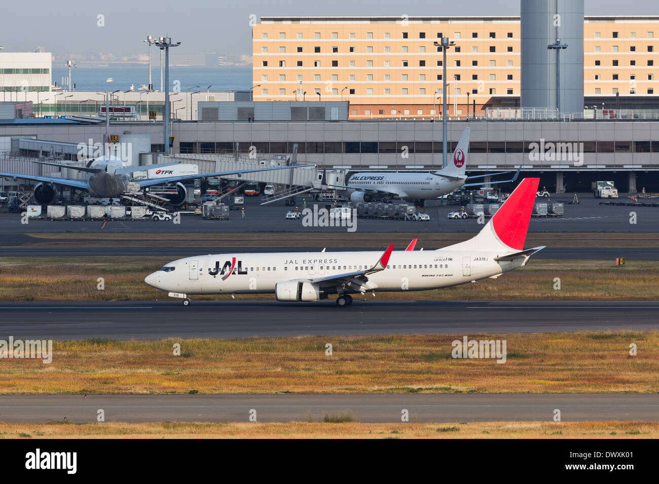 JAL at HANEDA Airport Landing Stock Photo - Alamy