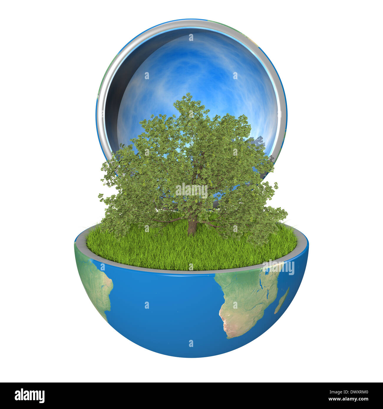 Oak tree growing inside opened planet Earth, isolated on white ...