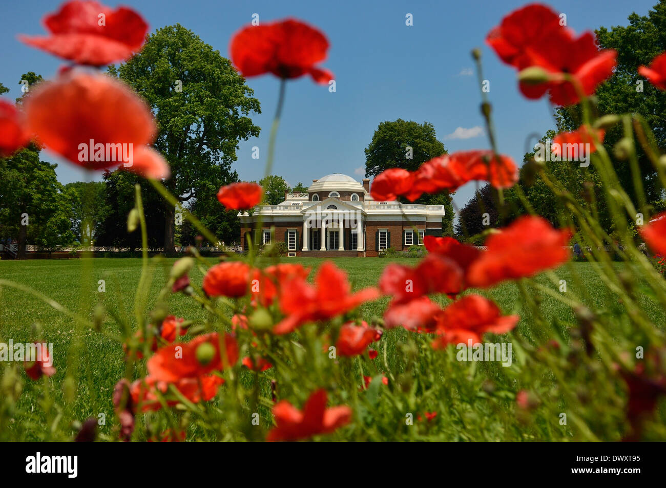 View of the west facade of Monticello from the flower walk; the ...