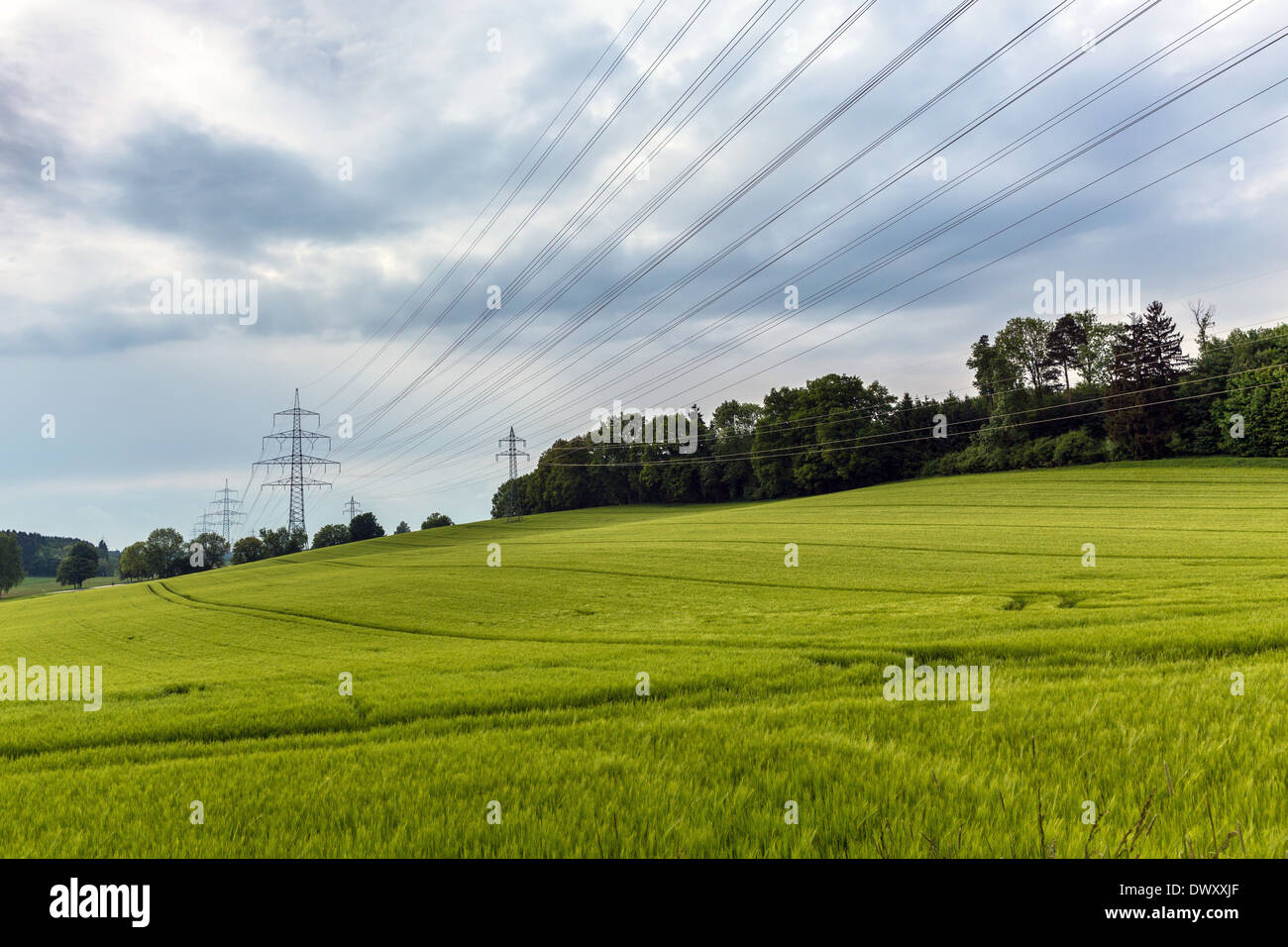 Wide green fields with pylons Stock Photo - Alamy