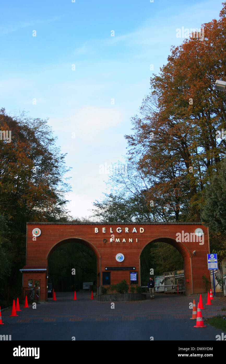 Entrance of Belgrad Forest in Istanbul,Turkey Stock Photo - Alamy