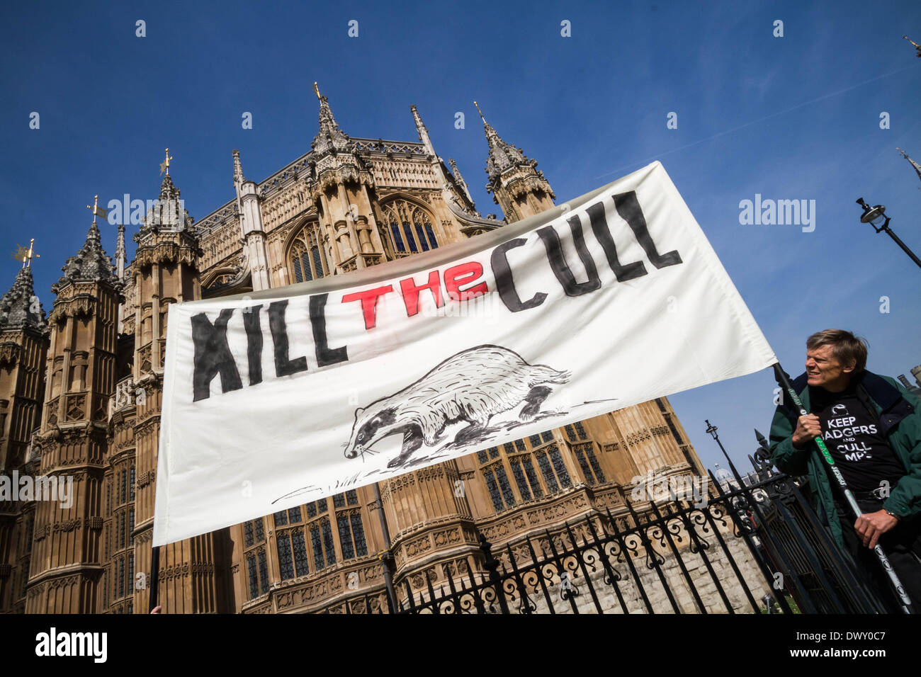 British Badger Cull Protest outside Parliament in London Stock Photo ...
