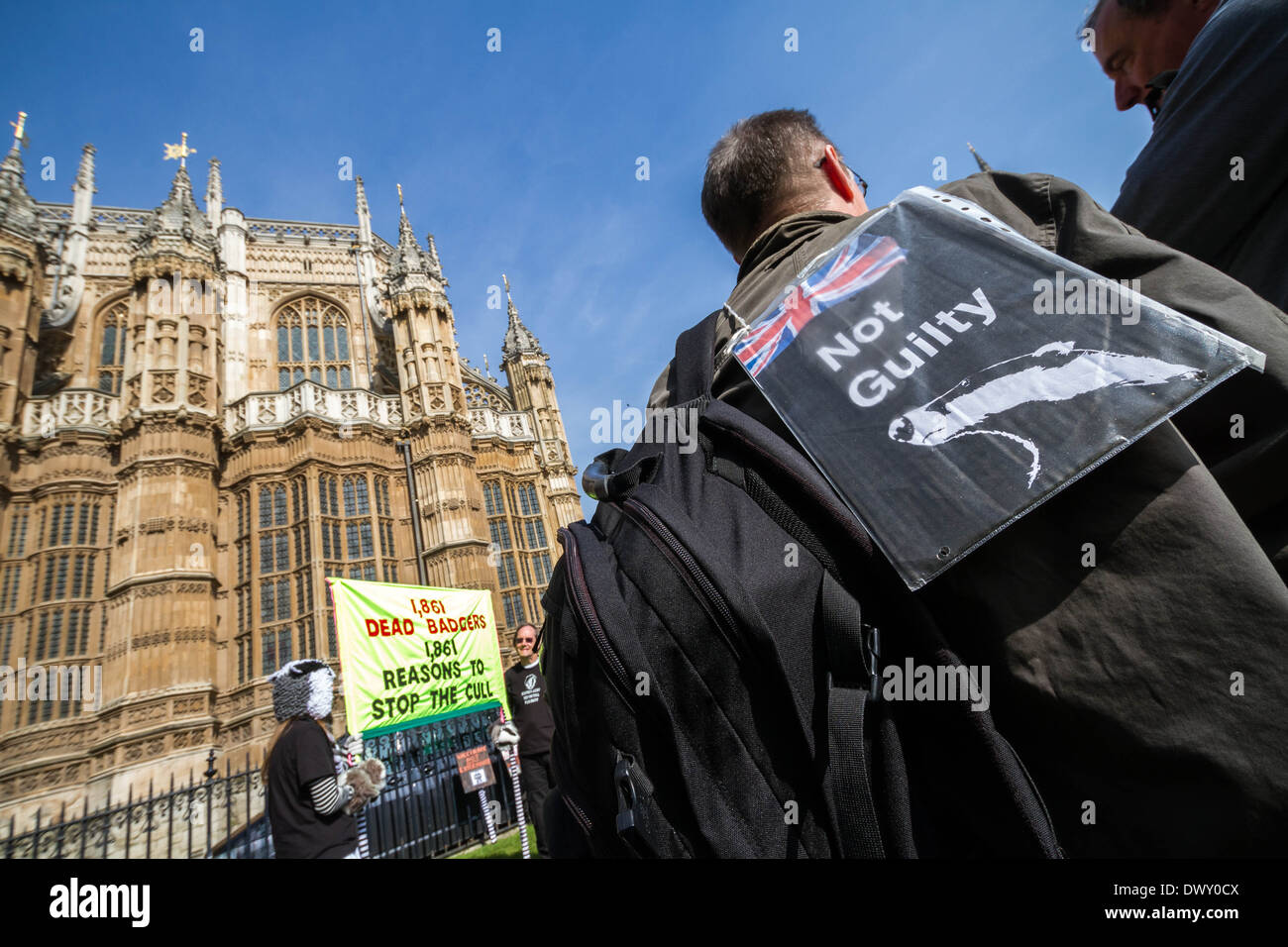 British Badger Cull Protest outside Parliament in London Stock Photo ...