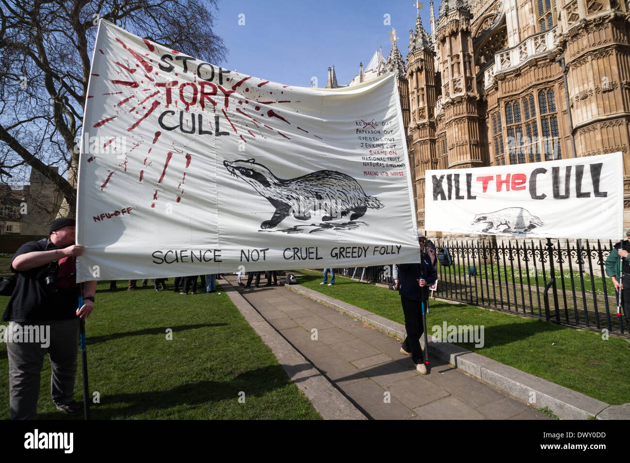 British Badger Cull Protest outside Parliament in London Stock Photo ...