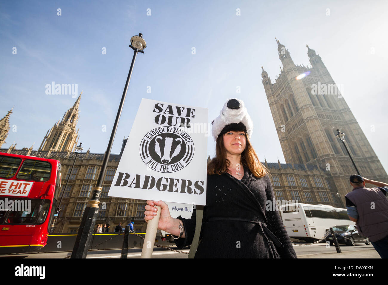 British Badger Cull Protest outside Parliament in London Stock Photo ...