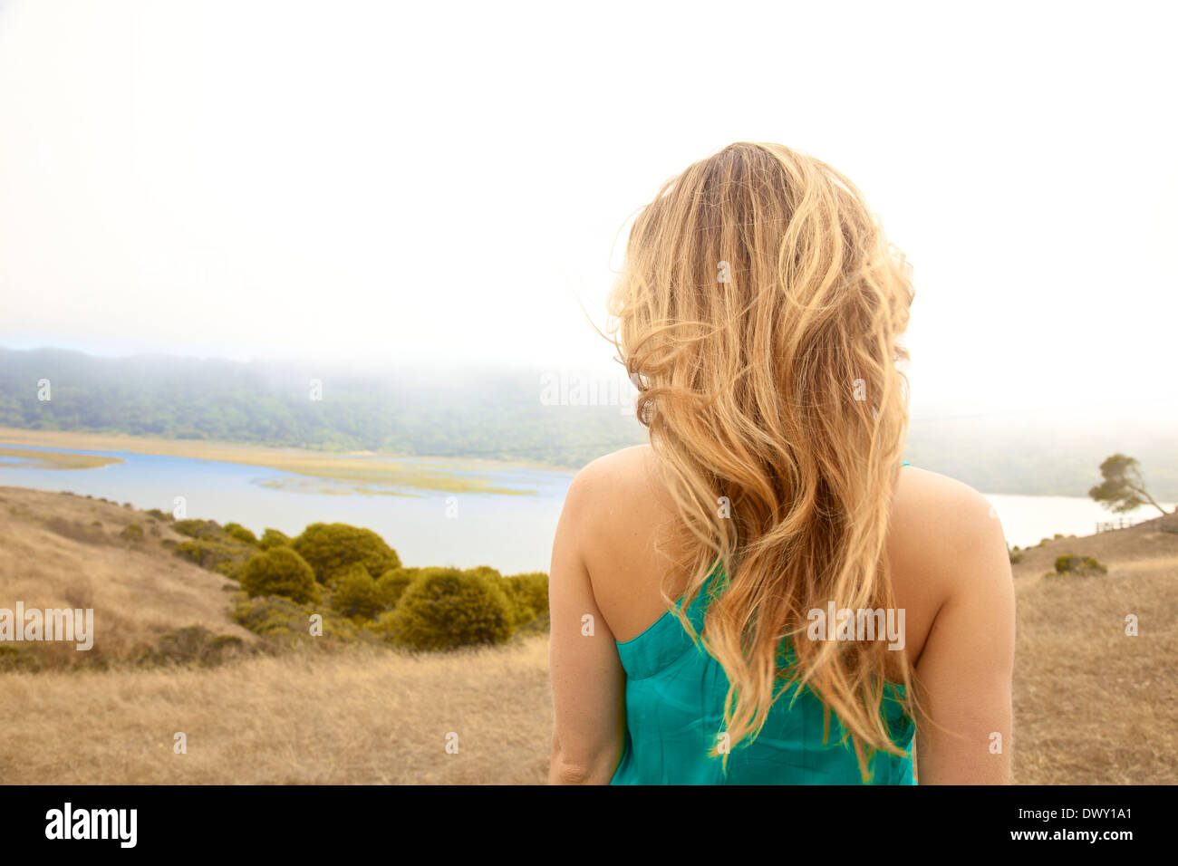 Blonde woman rear view dress hi-res stock photography and images - Alamy