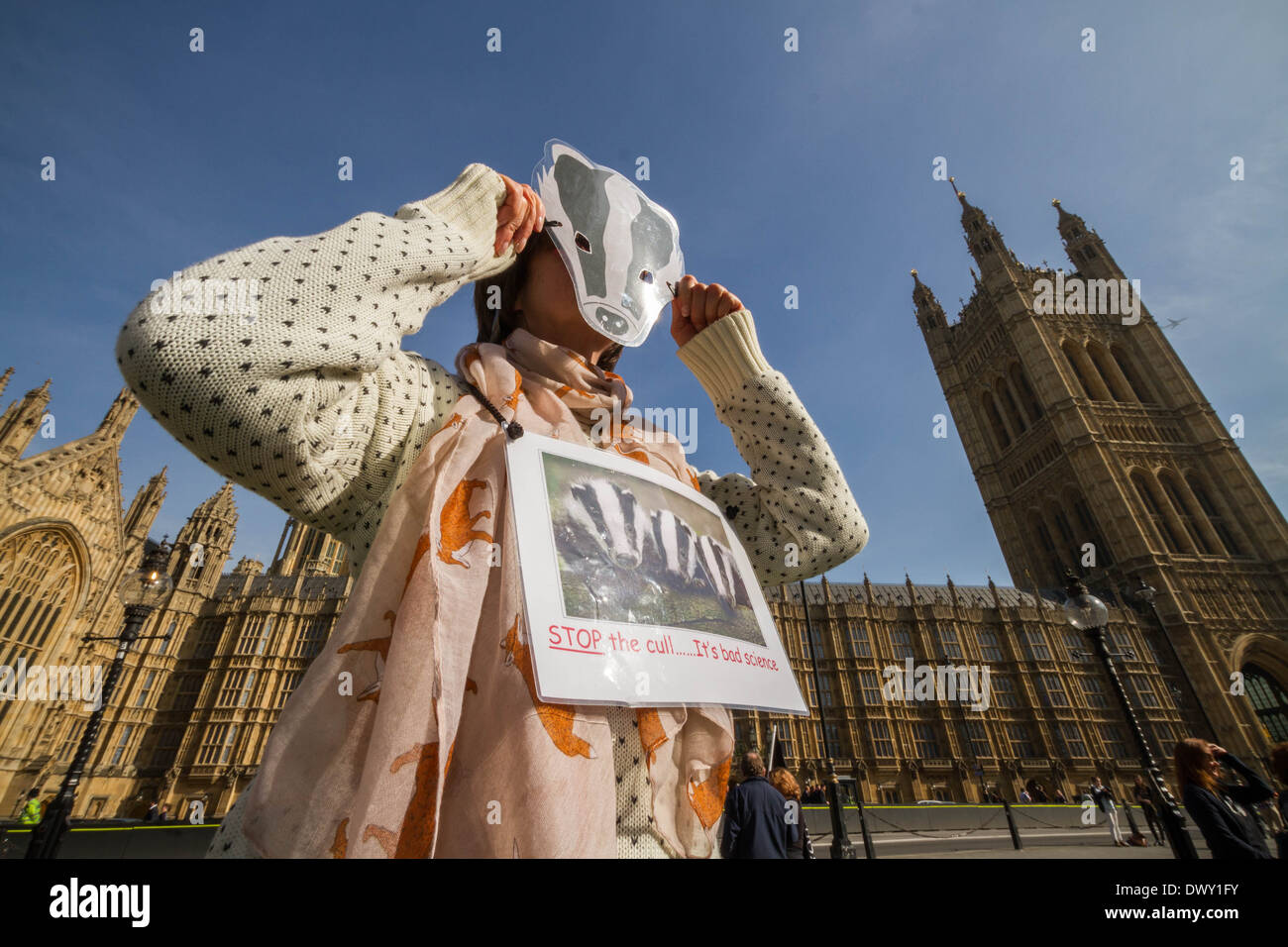 British Badger Cull Protest outside Parliament in London Stock Photo ...
