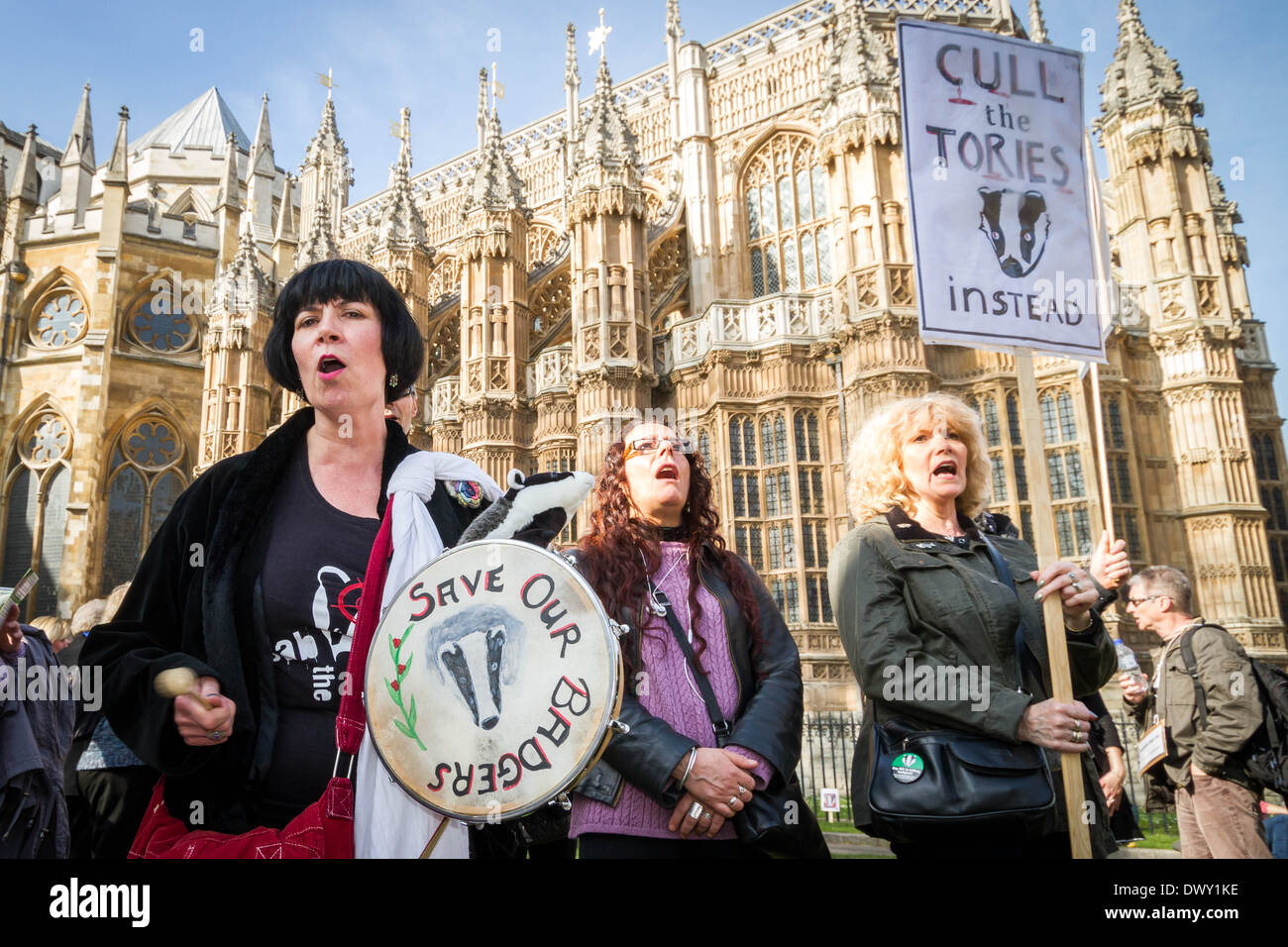 British Badger Cull Protest outside Parliament in London Stock Photo ...