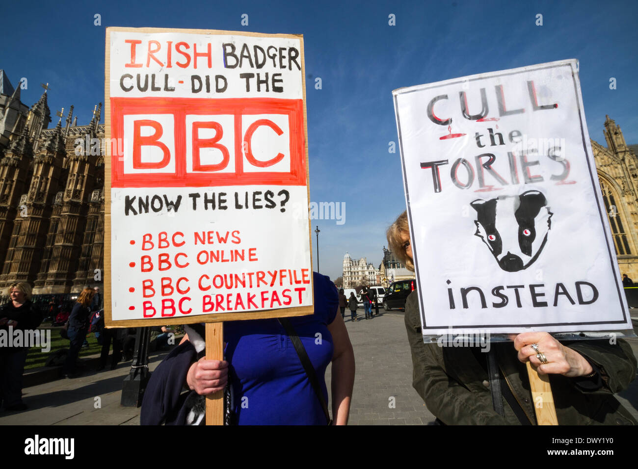 British Badger Cull Protest outside Parliament in London Stock Photo ...