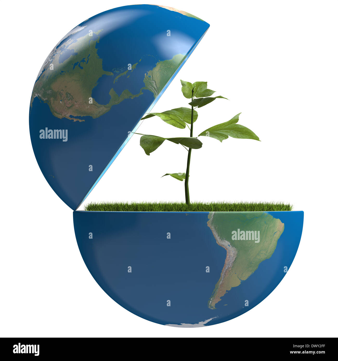 Small plant growing inside opened planet Earth, isolated on white ...