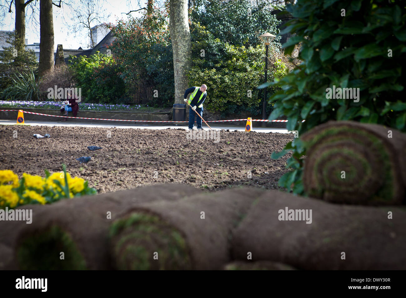 A gardener laying new turf Stock Photo - Alamy