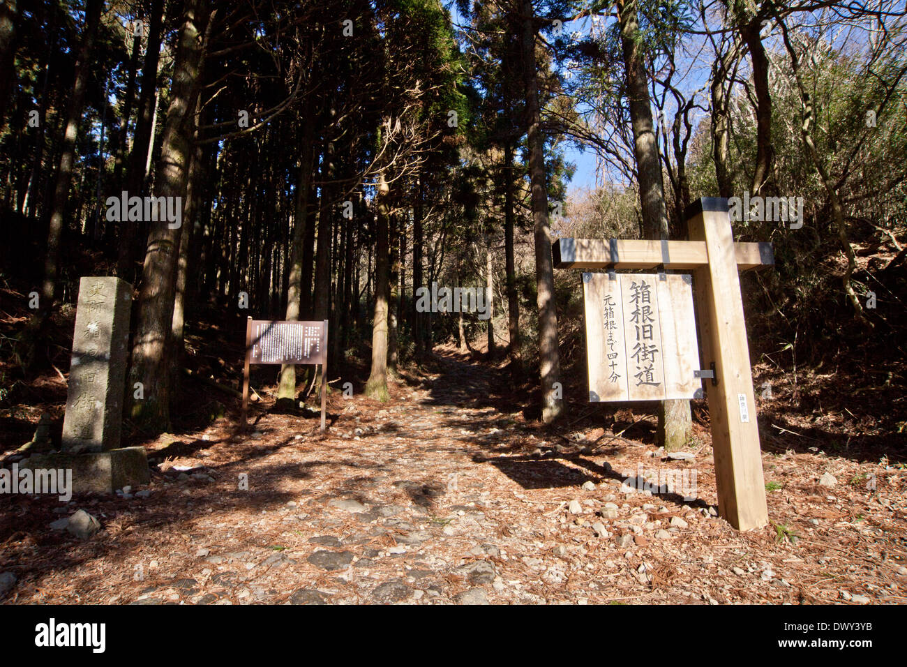 Old Hakone Highway in Kanagawa, Japan Stock Photo - Alamy