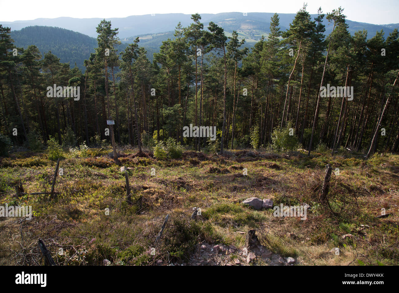 Col du linge hi-res stock photography and images - Alamy