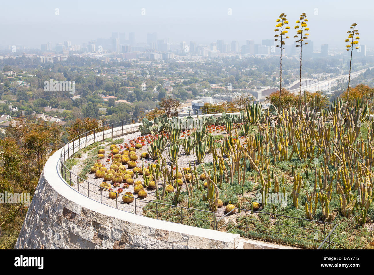 Detail of a Cactus Garden, useful also for concepts Stock Photo - Alamy