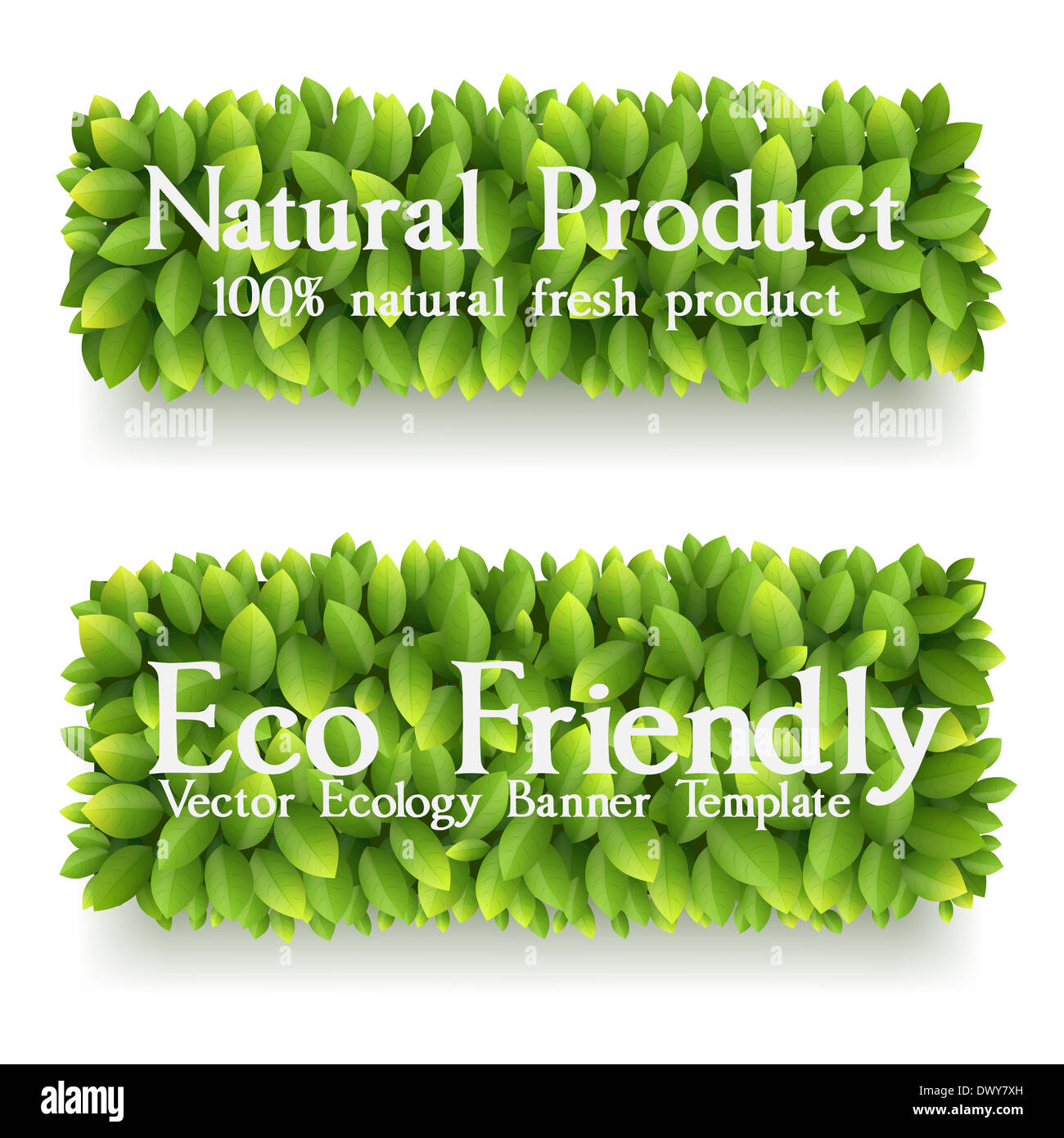 Green leaves sale banner hi-res stock photography and images - Alamy