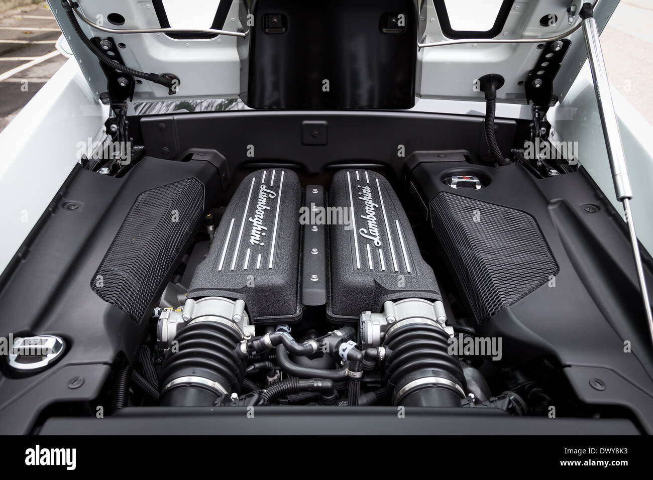 Lamborghini engine hi-res stock photography and images - Alamy