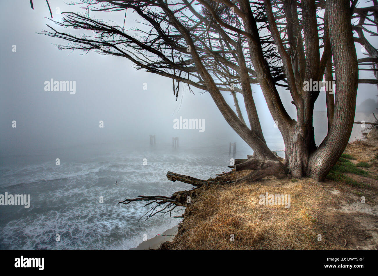 Ocean mist hi-res stock photography and images - Alamy