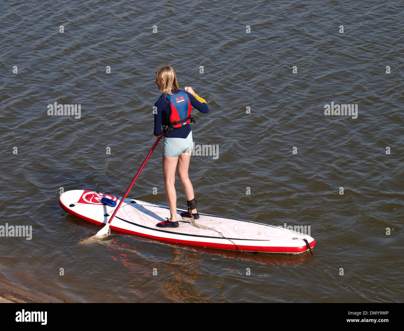 Woman stand up paddle boarding hi-res stock photography and images - Alamy