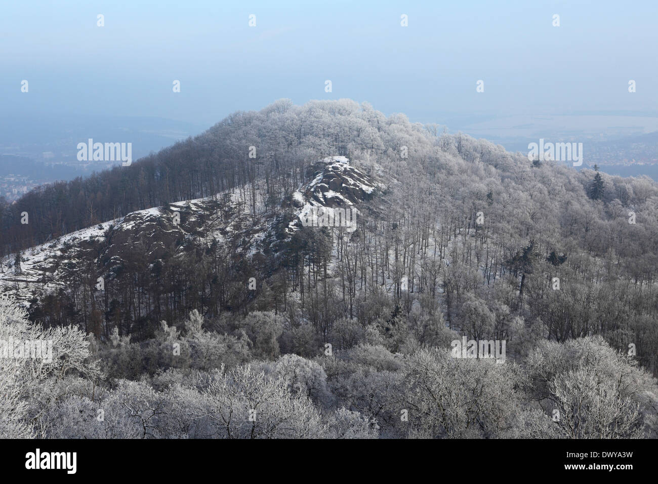 Hoare frost covered trees on a wooded hillside seen from Wartburg ...