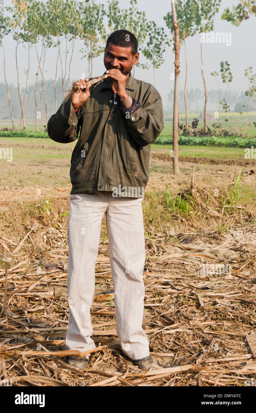 Man eating sugar cane hi-res stock photography and images - Alamy