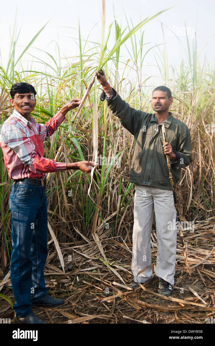 Men half pants hi-res stock photography and images - Alamy