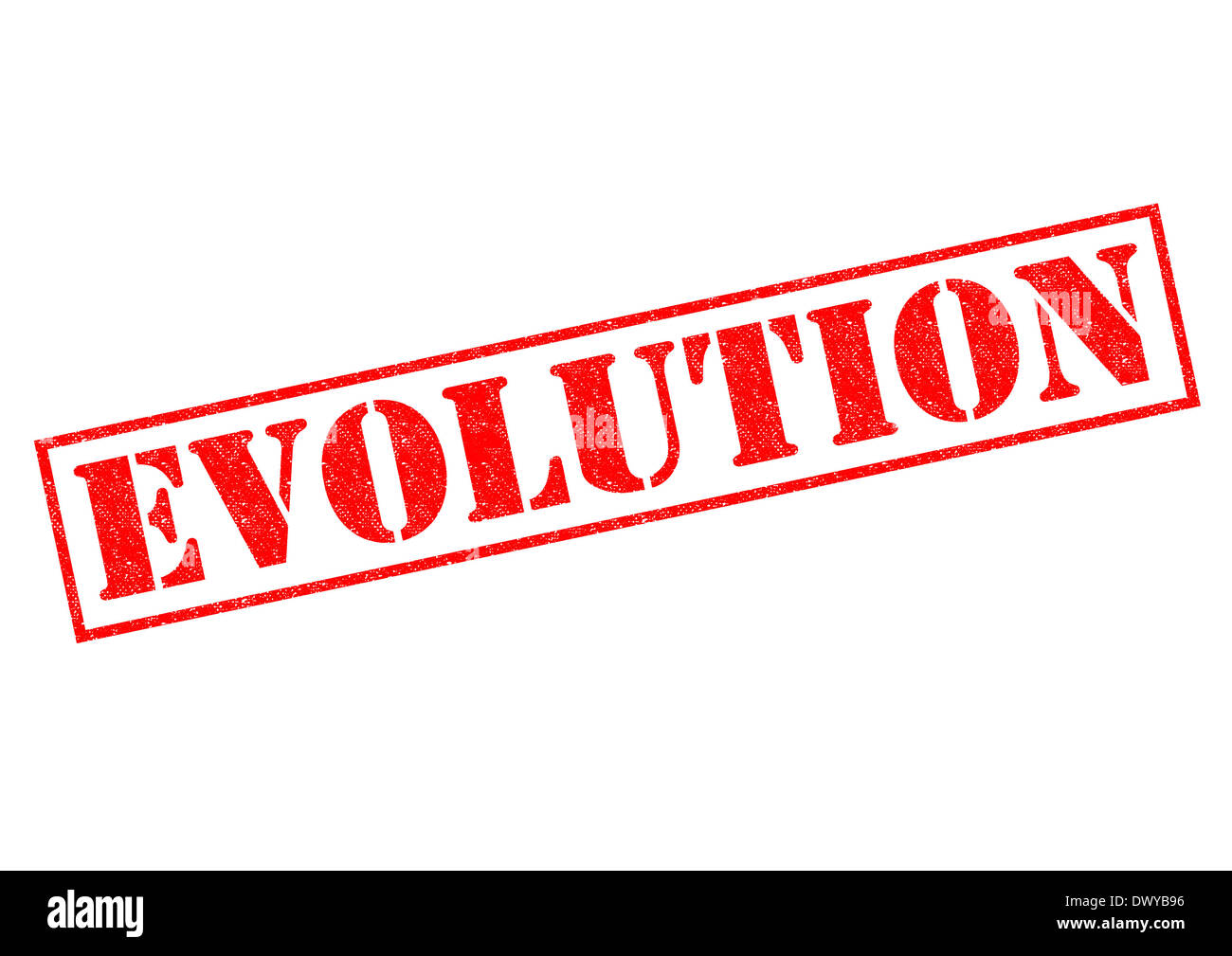 Darwinian evolution theory hi-res stock photography and images - Alamy