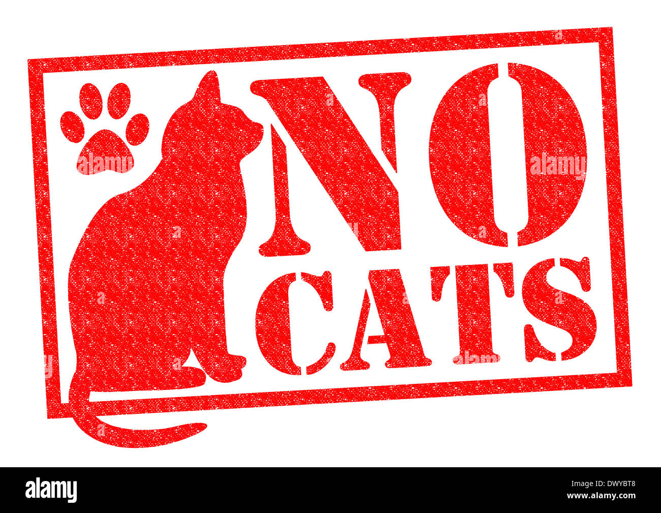 NO CATS red Rubber Stamp/Sign over a white background Stock Photo - Alamy