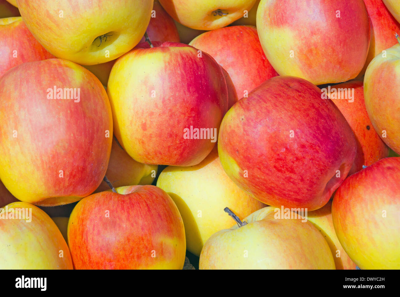 Yellow apples as background Stock Photo - Alamy