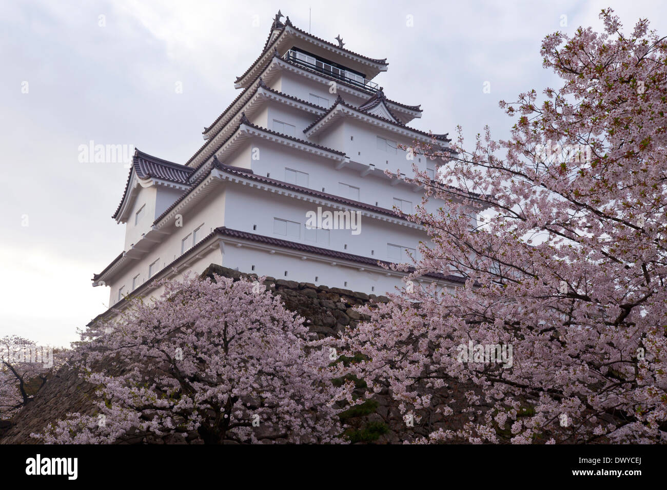 Tsuruga hi-res stock photography and images - Alamy