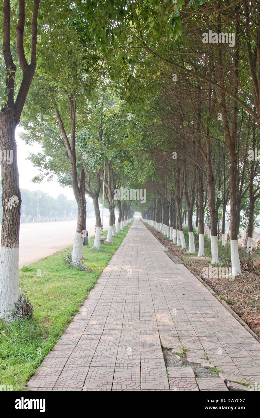 Pathway path sidewalk hi-res stock photography and images - Alamy