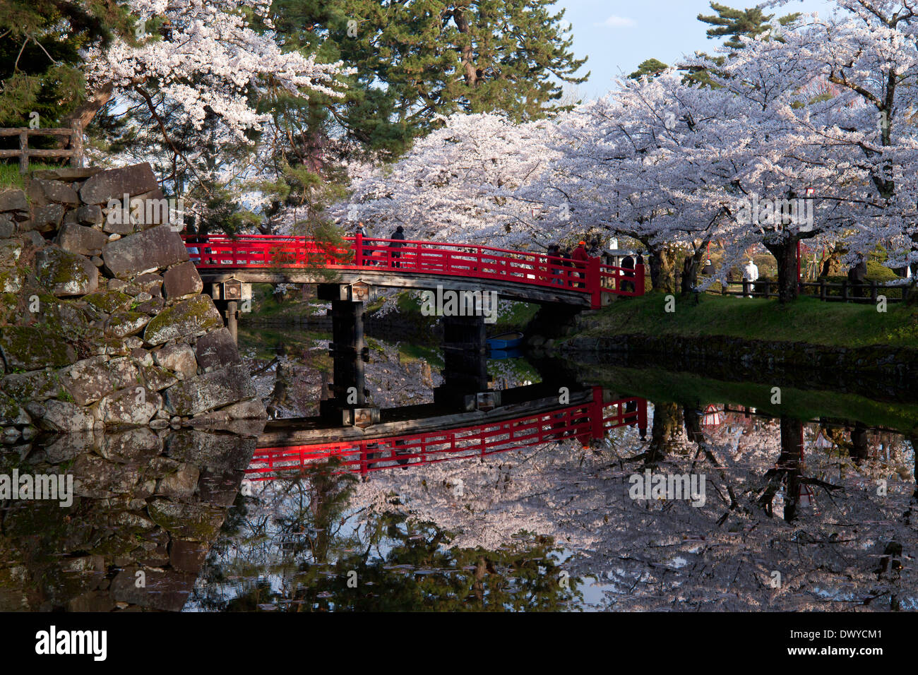 Hirosaki Castle Bridge and Cherry Blossoms Reflecting in the Water ...