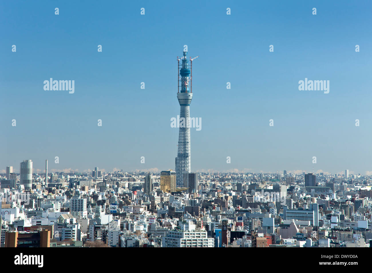Tokyo Sky Tree under Construction in Tokyo, Japan Stock Photo - Alamy