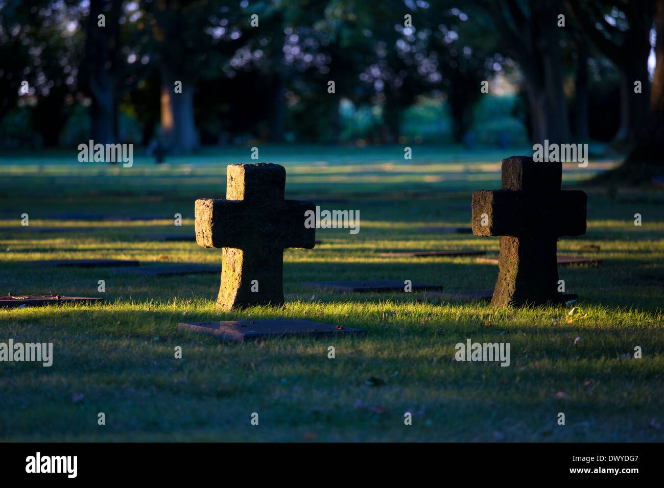 Menen, Belgium, view over a German military cemetery Menen Stock Photo ...
