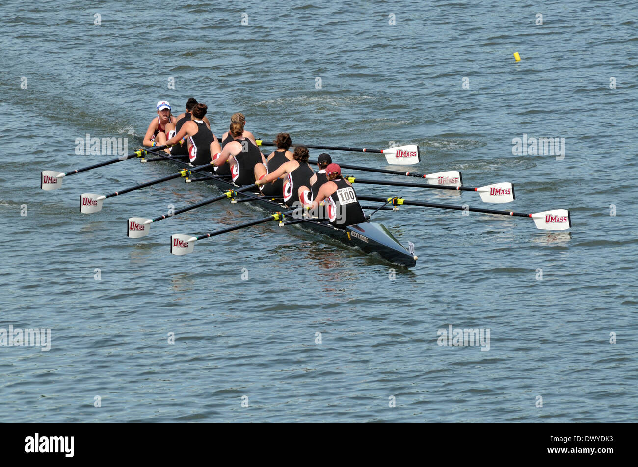 Rowing on the schuylkill river hi-res stock photography and images - Alamy