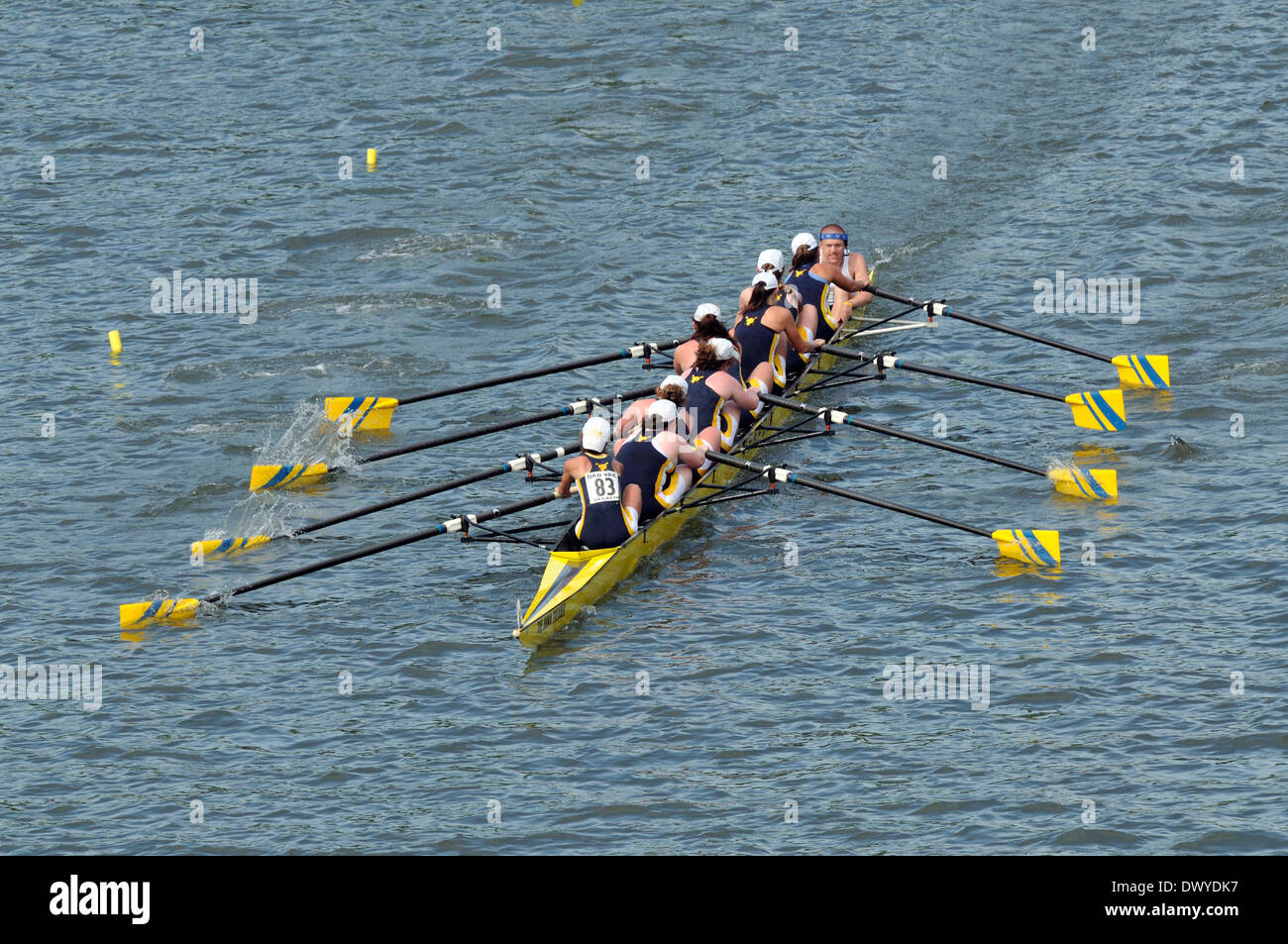 Rowing on the schuylkill river hi-res stock photography and images - Alamy