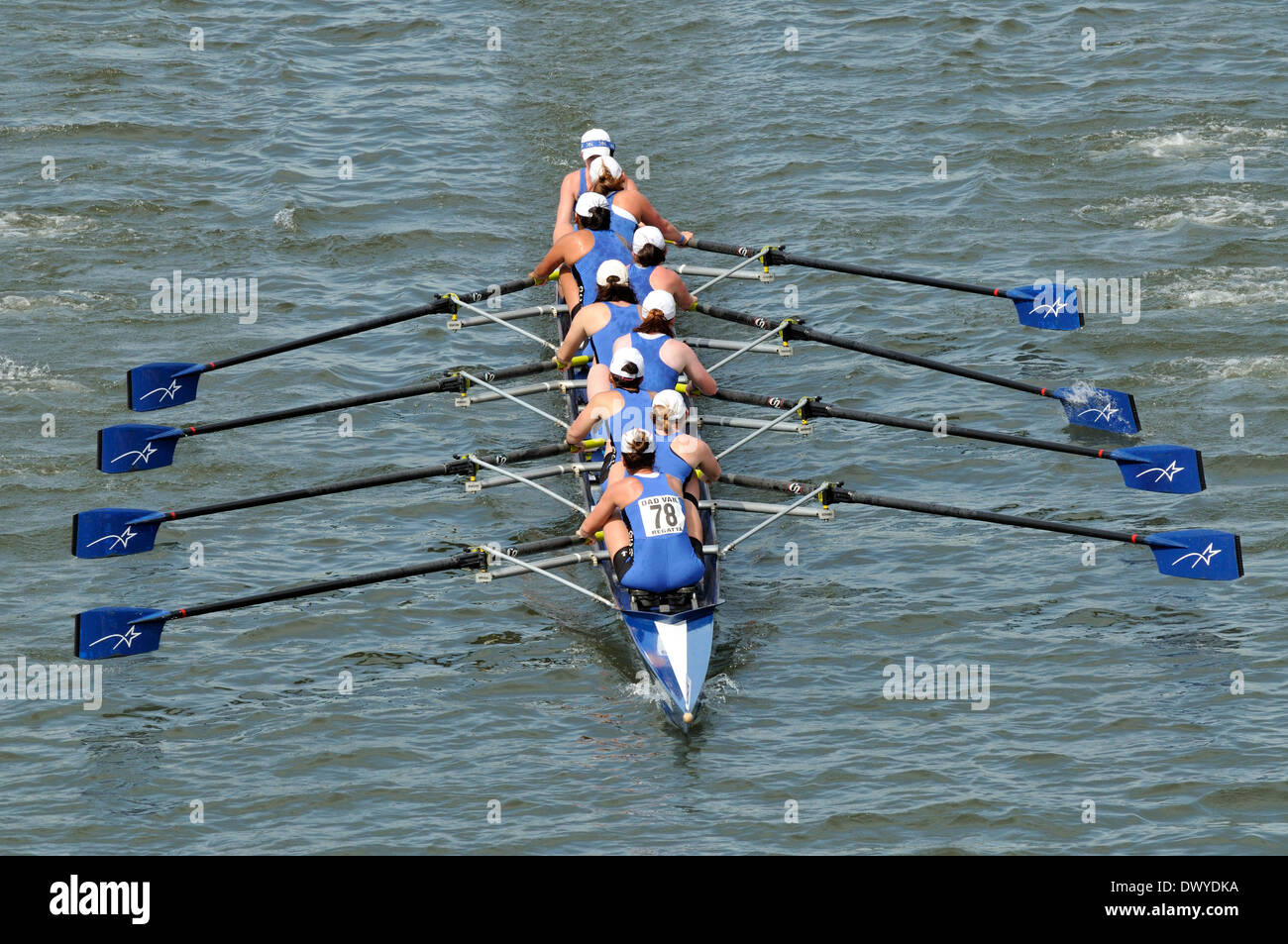 Rowing on the schuylkill river hi-res stock photography and images - Alamy