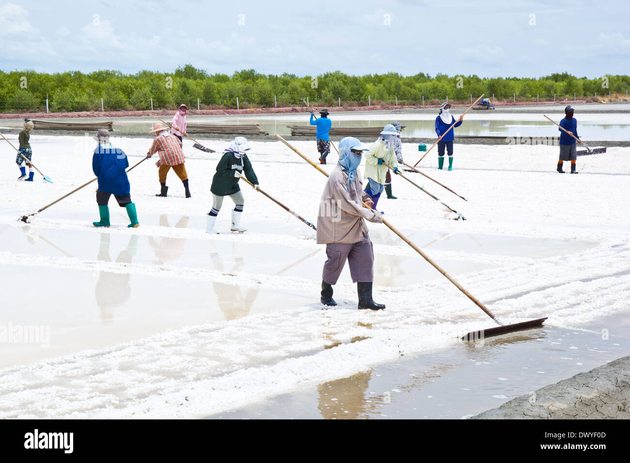 Salt and straw hi-res stock photography and images - Alamy