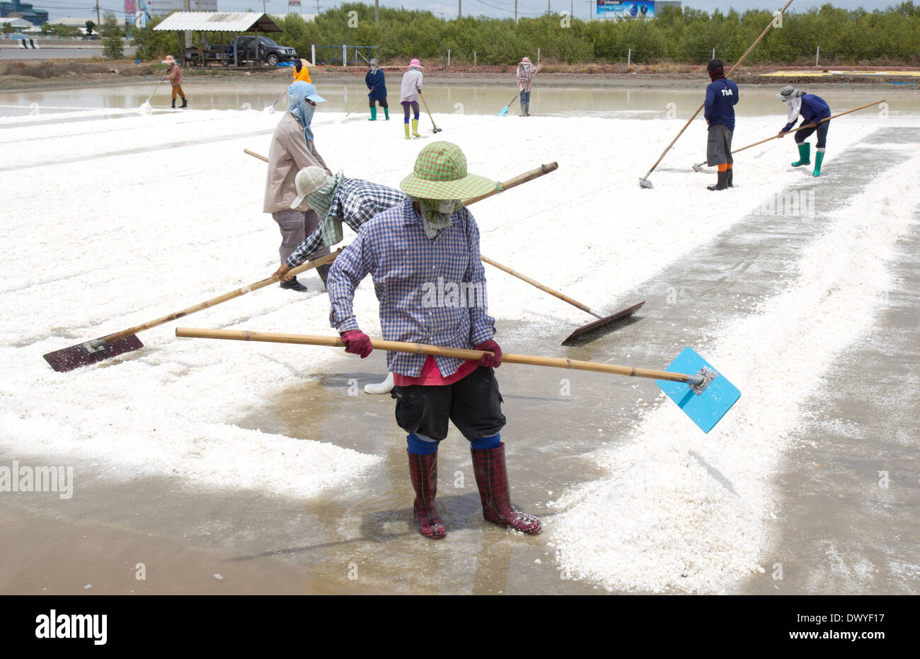 Solar sea salt production hi-res stock photography and images - Alamy