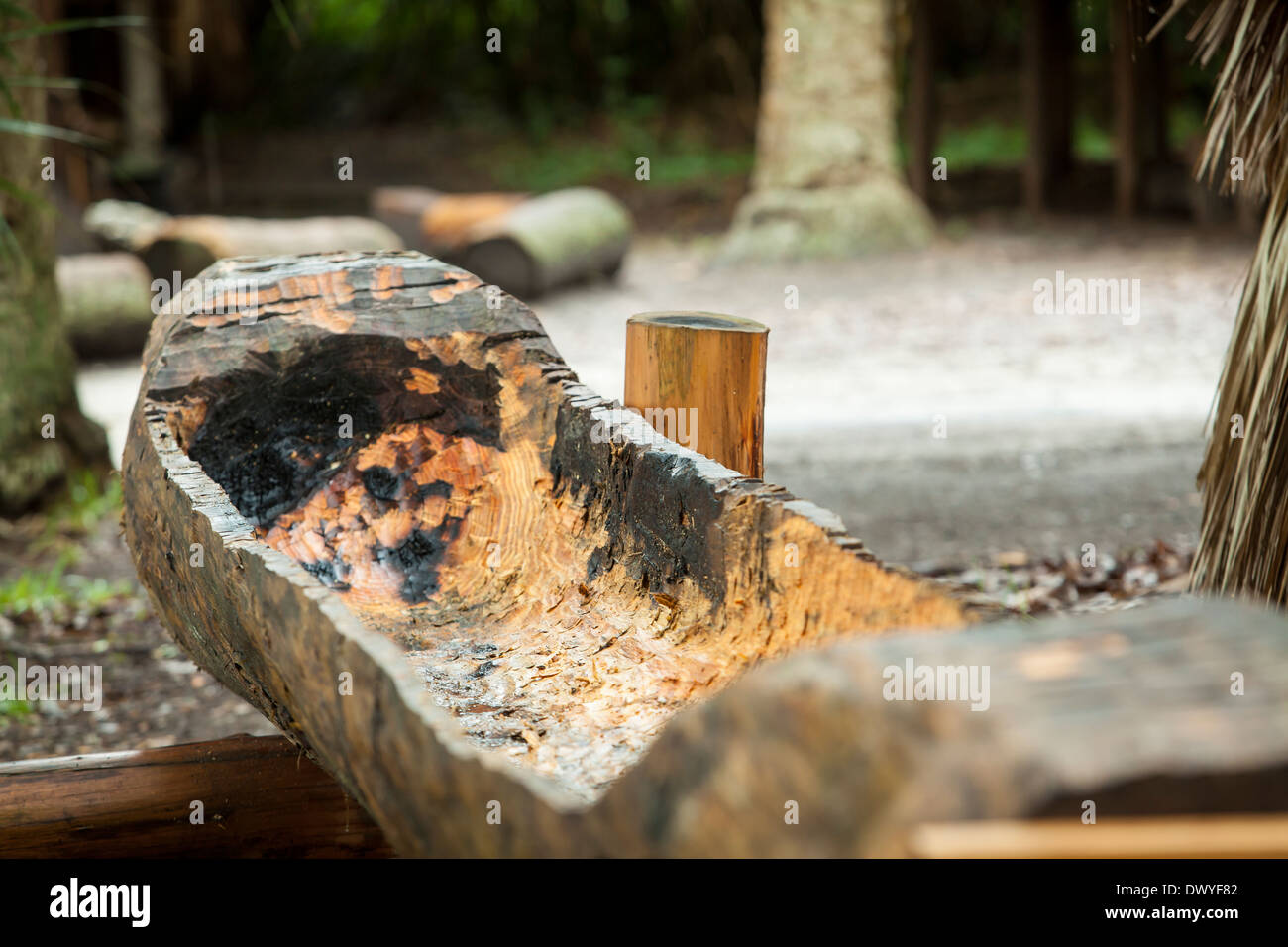 A replica of a Timucua canoe is pictured in St. Augustine Fountain of ...